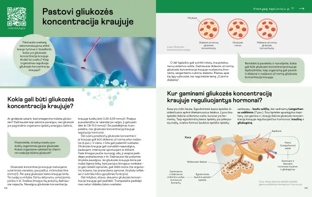 Biologija. Vadovėlis 9 klasei, 2 dalis (Horizontai) | Švietimo portalas | Emokykla