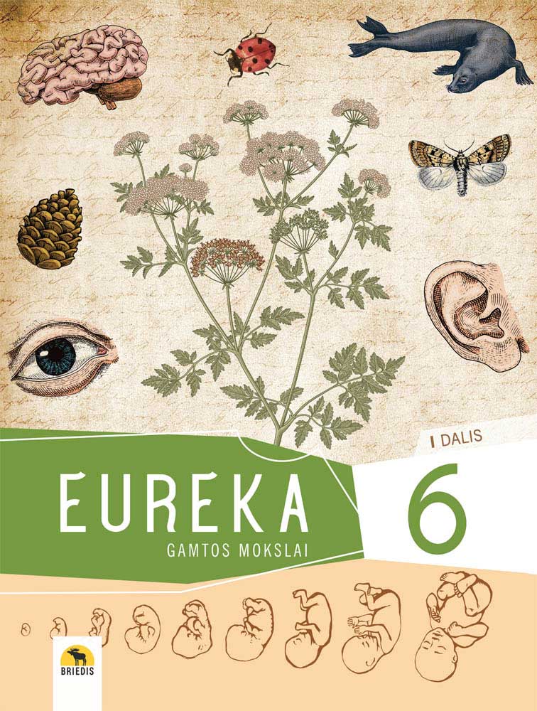 Eureka 6. Gamtos mokslų vadovėlis 6 klasei, I dalis | Švietimo portalas ...